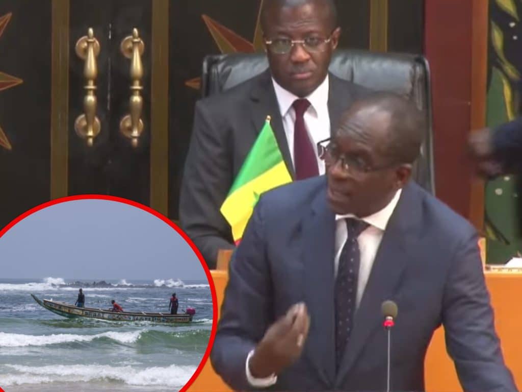 Assemblée - Diouf Sarr charme ses collègues : "Mane Mool laa, Lébou ...