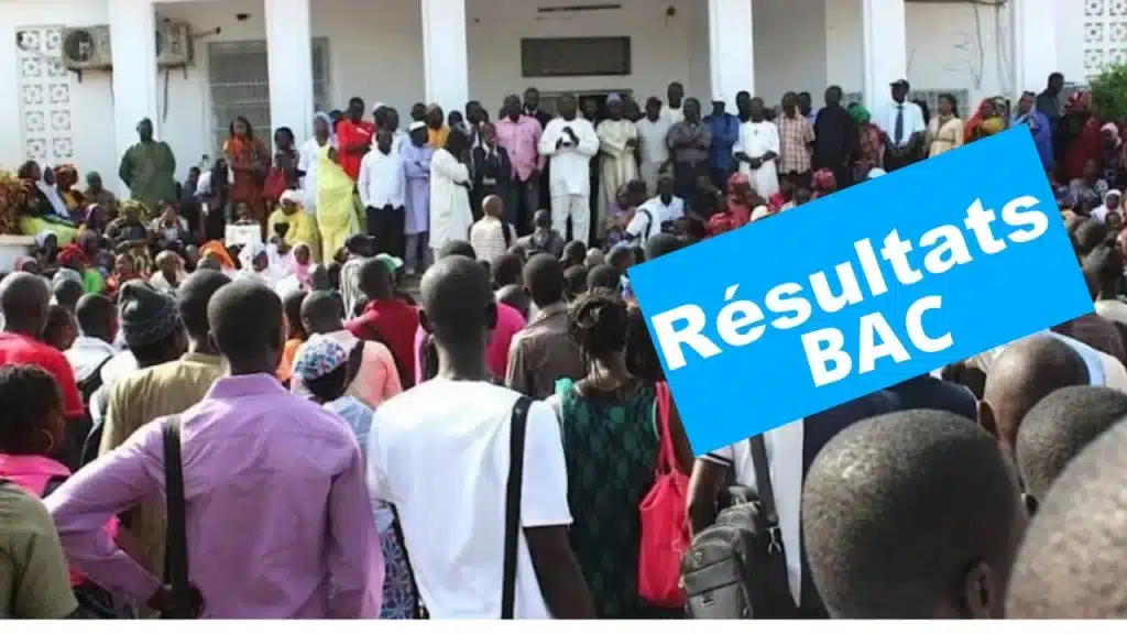 Baccalauréat 2023 : 51,54% de taux de réussite (Office du bac) - Senegal7