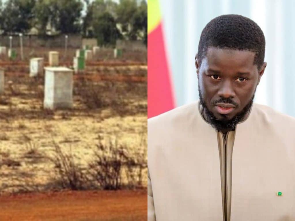 Gouvernance foncière : Le mandataire des héritiers Thiandoum interpelle ...