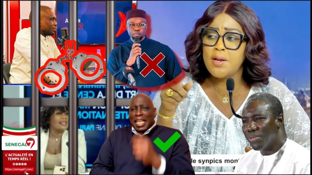 (Vidéo) Arresations de MNF et Babacar Fall : Bineta Diallo crache ses ...