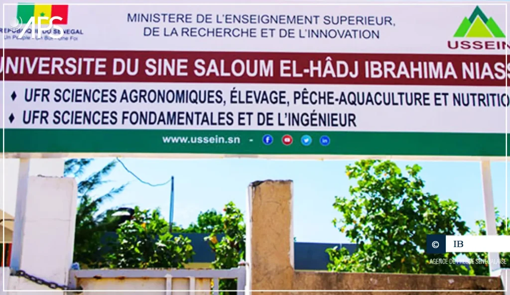 Université du Sine-Saloum : les étudiants dénoncent la dégradation des conditions d’étude - Senegal7
