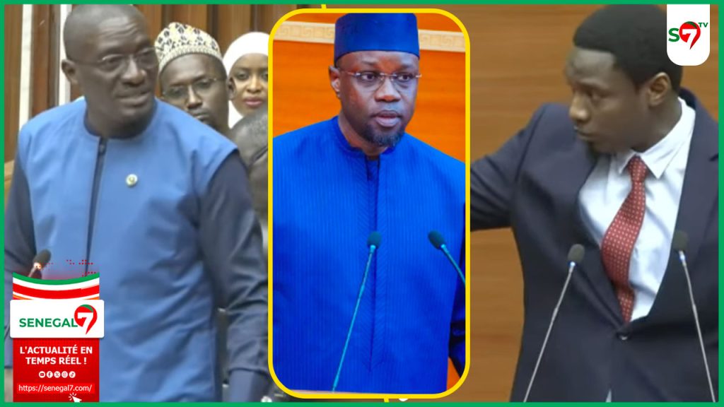(Vidéo) Assemblée: les questions brulantes de Pape Djibril Fall de ...
